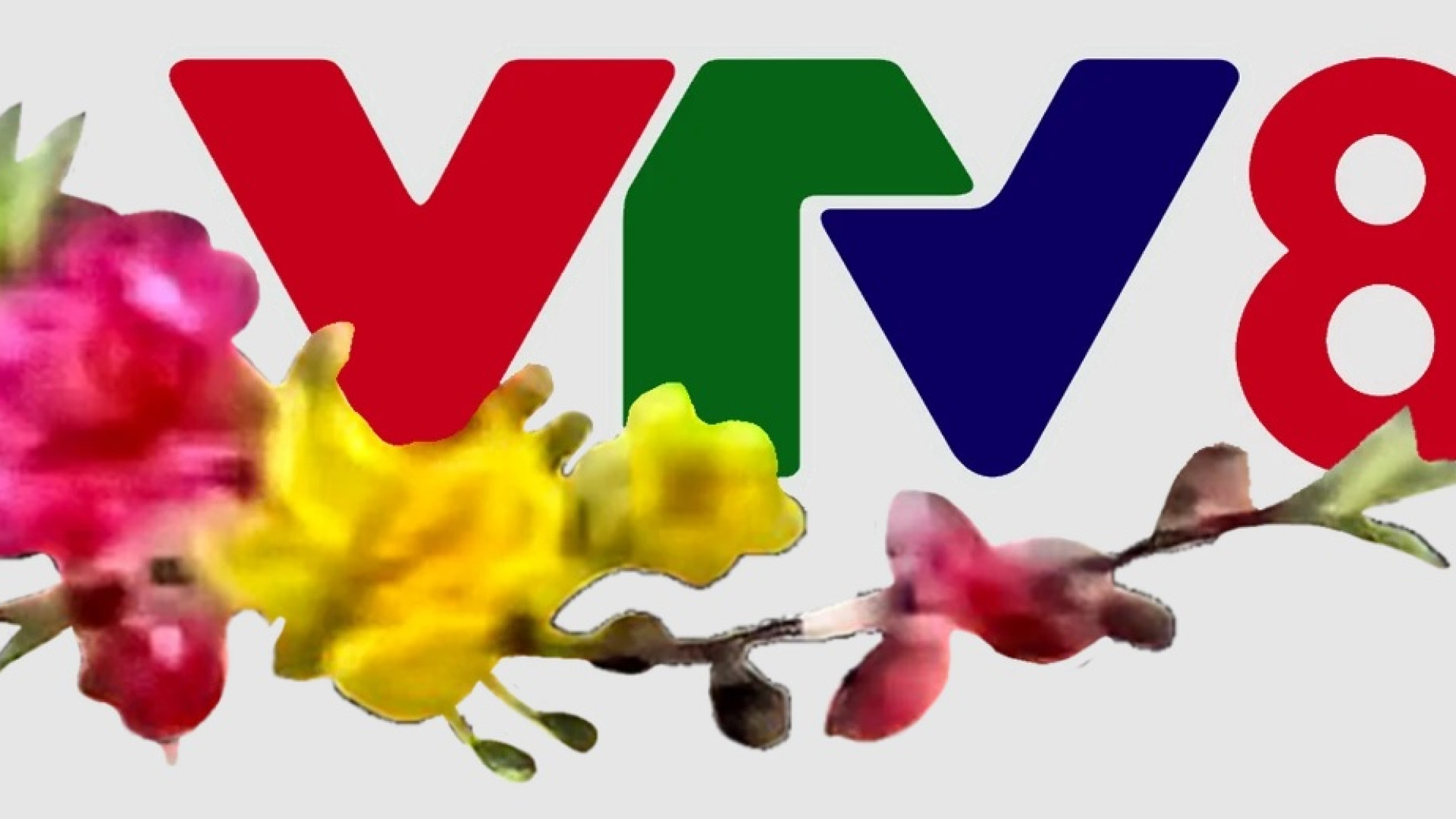 Những chương trình đặc biệt lên sóng VTV8 chào đón năm mới 2024 - Cổng ...